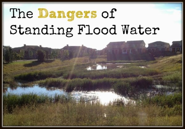 Dangers of Standing Flood Water