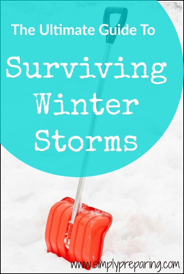 Surviving Winter Storms: A How To Guide